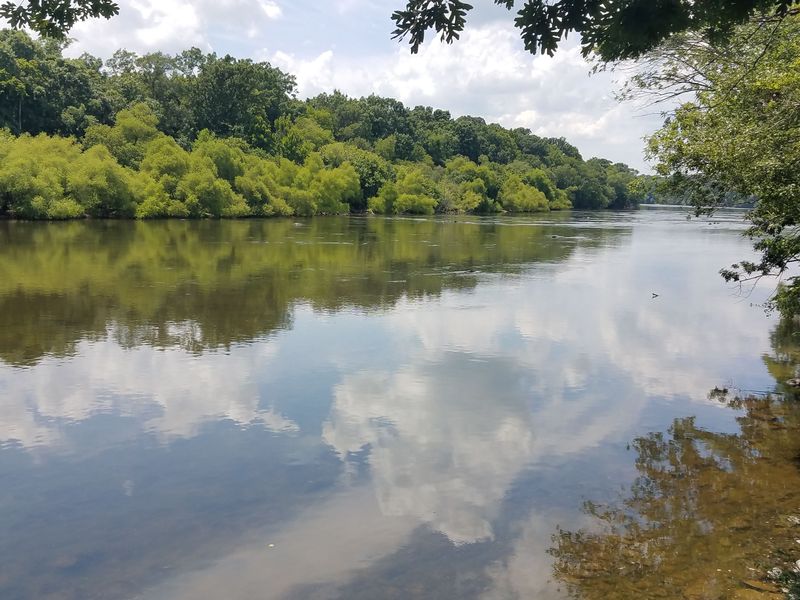 Cape Fear River at home, Buies Creek, NC | Smithsonian Photo Contest ...