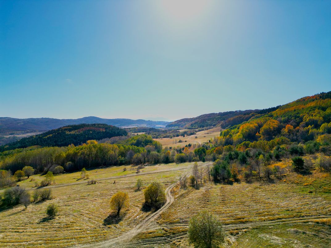Sunshine path | Smithsonian Photo Contest | Smithsonian Magazine