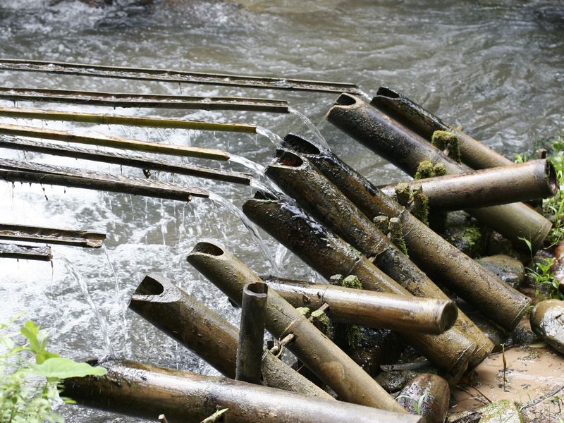 Bamboo tubes make a musical and reassuring "thunk" at the riverside at ...