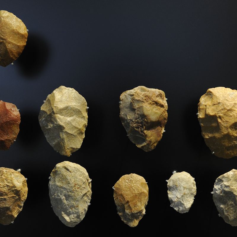 Neanderthal Tool Making