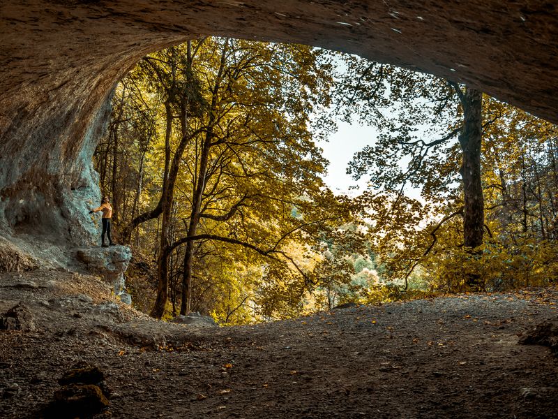 View from the grotto "Soaring Bird" on the autumn forest. | Smithsonian ...