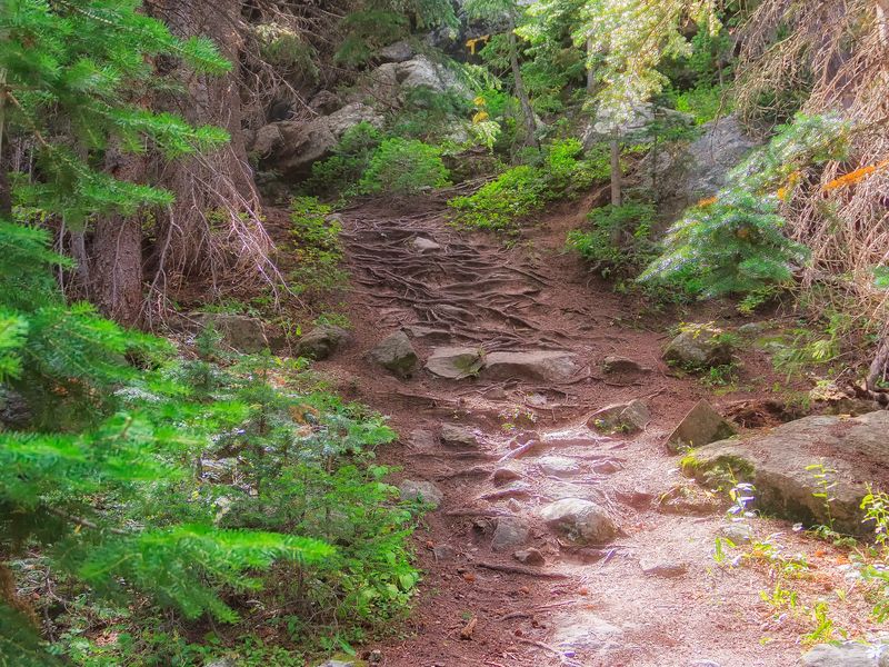 Abandoned Trail | Smithsonian Photo Contest | Smithsonian Magazine