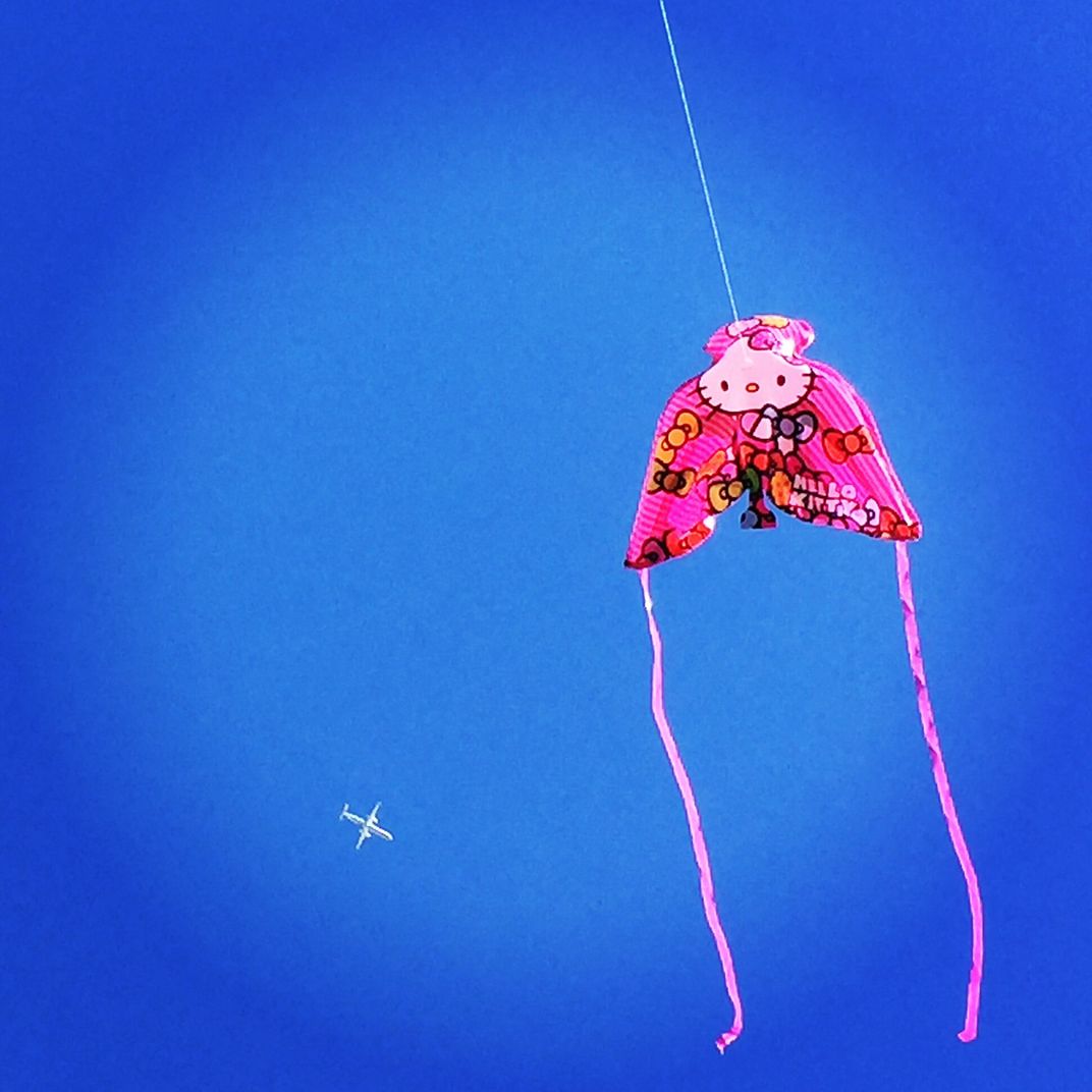 Well…hello Kitty Smithsonian Photo Contest Smithsonian Magazine