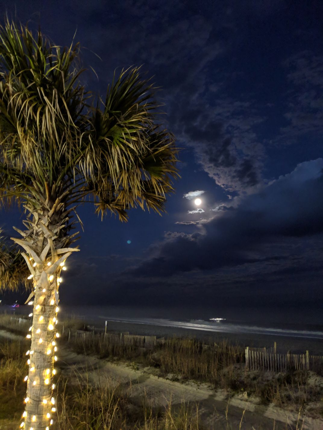 Moon shines | Smithsonian Photo Contest | Smithsonian Magazine
