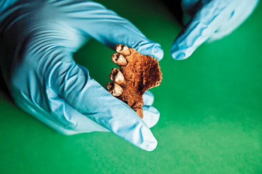 Ireland's Forgotten Sons Recovered Two Centuries Later