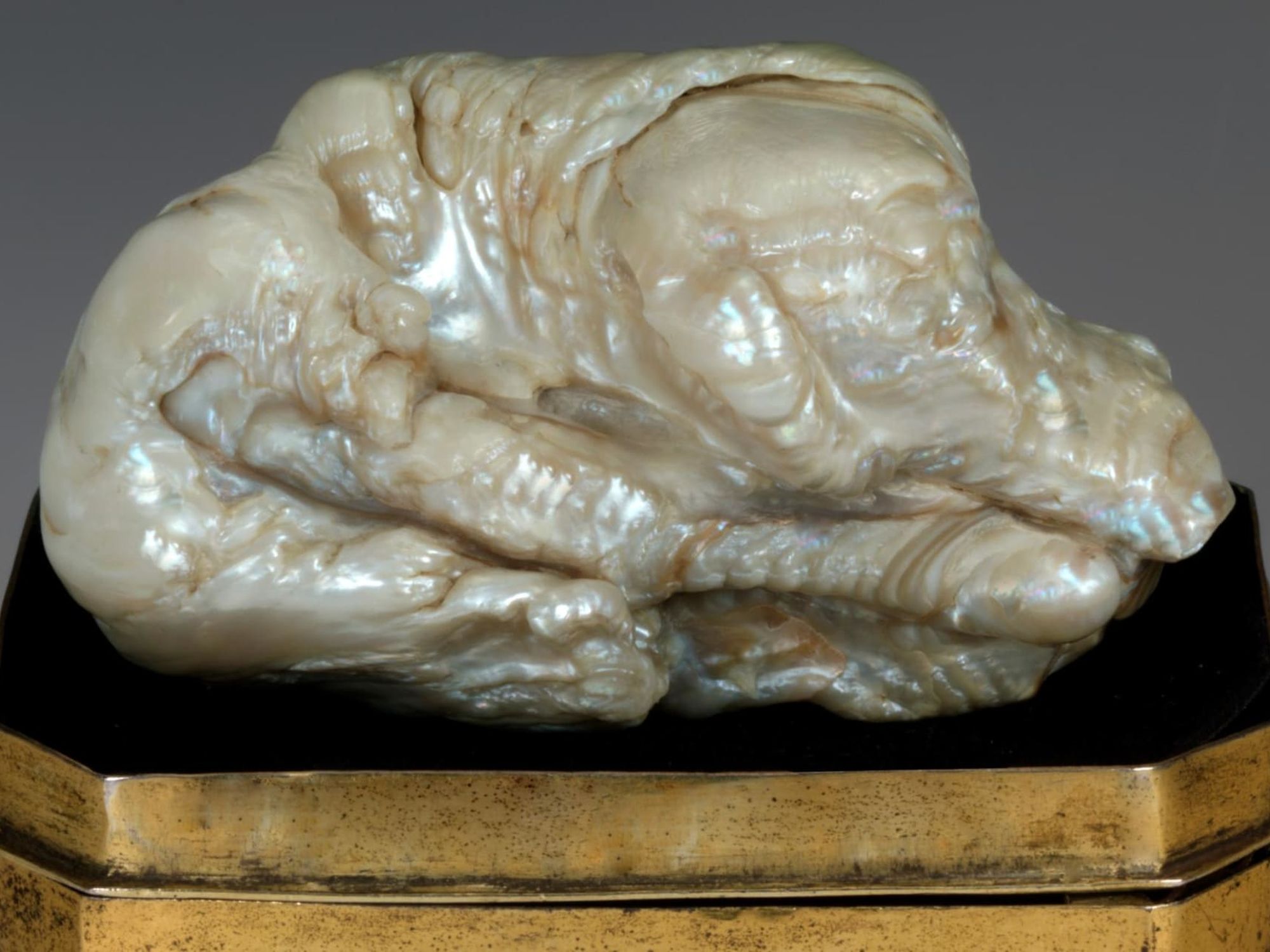 The Odyssey of the World's Largest Freshwater Pearl