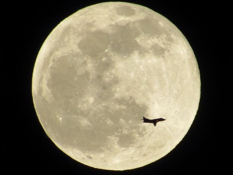 wolf plane | Smithsonian Photo Contest | Smithsonian Magazine