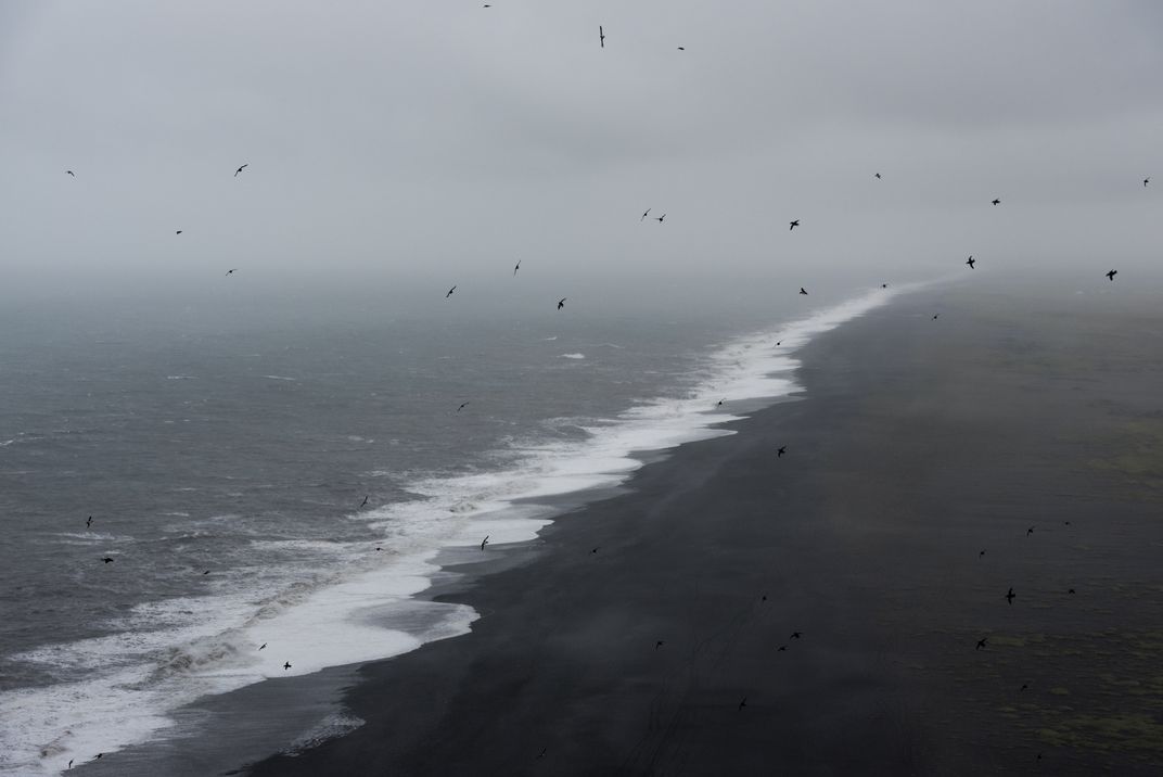 A Circus of Puffins | Smithsonian Photo Contest | Smithsonian Magazine