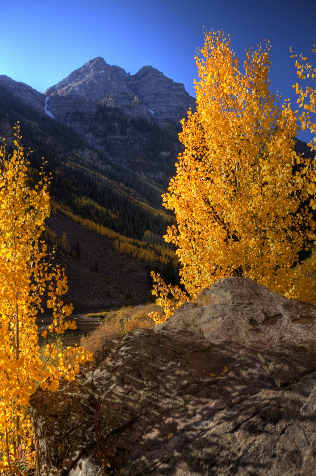 "Highlights" A rock is framed by two aspen trees on a trail in the ...