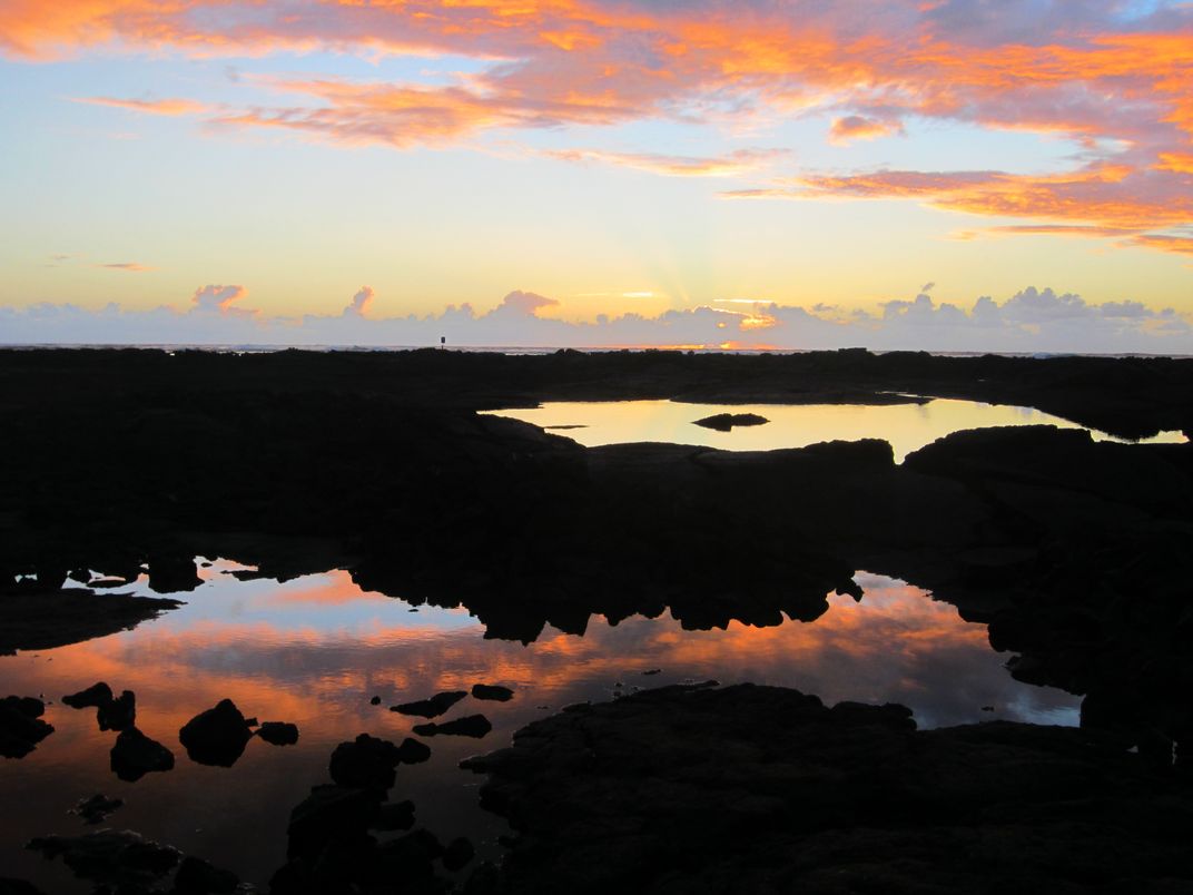 Tide Pools Sunrise | Smithsonian Photo Contest | Smithsonian Magazine