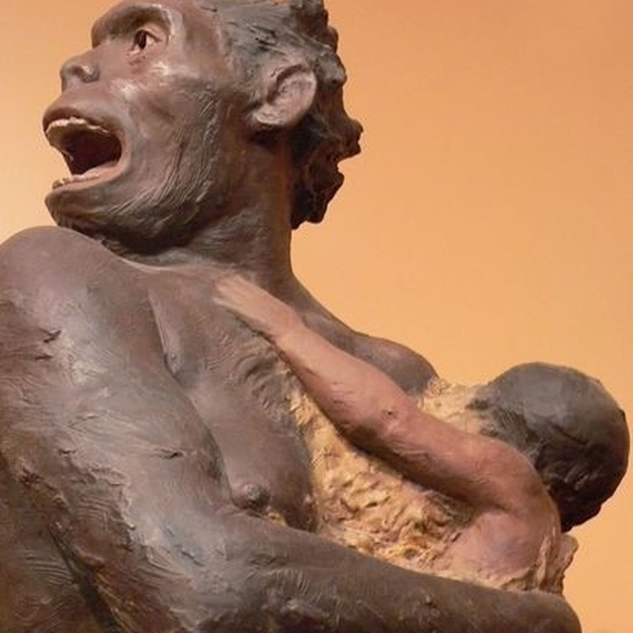 human mating process