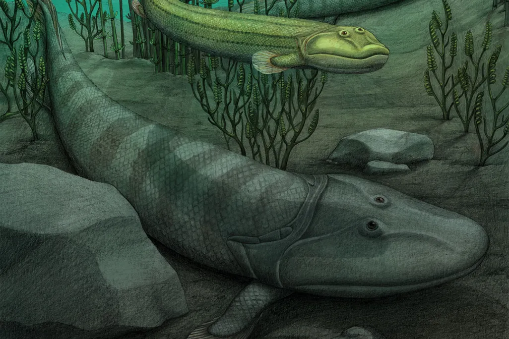 fish evolution theory