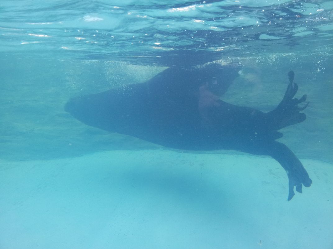 Freedom in water | Smithsonian Photo Contest | Smithsonian Magazine