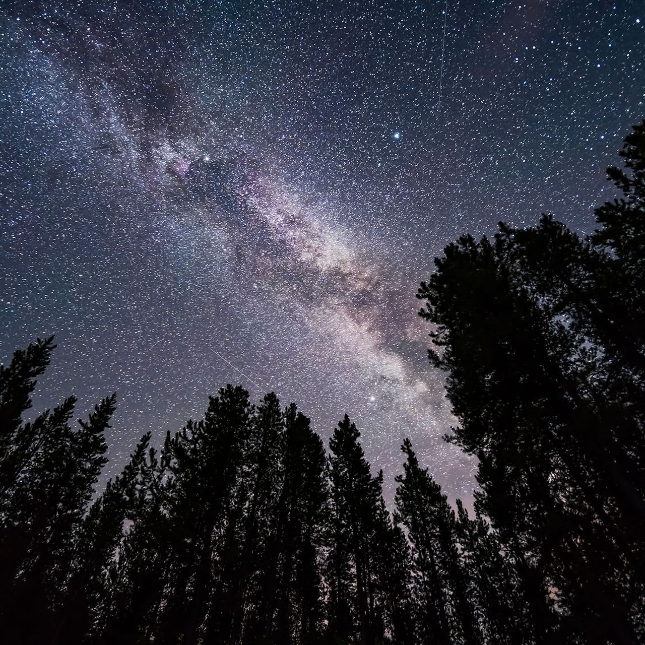 List Of 10 Brightest Stars In The Night Sky
