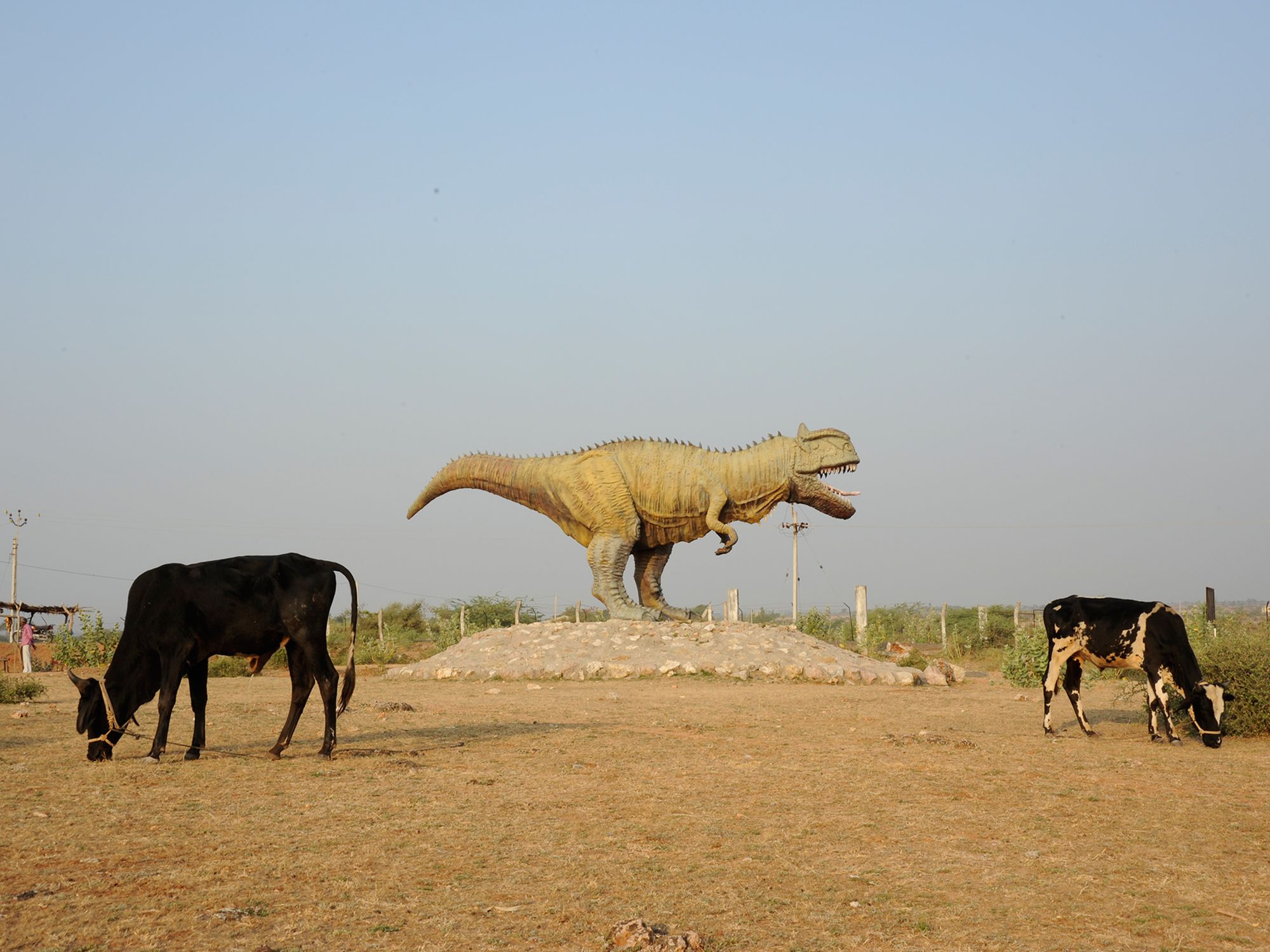 Meet India's Dinosaur Princess