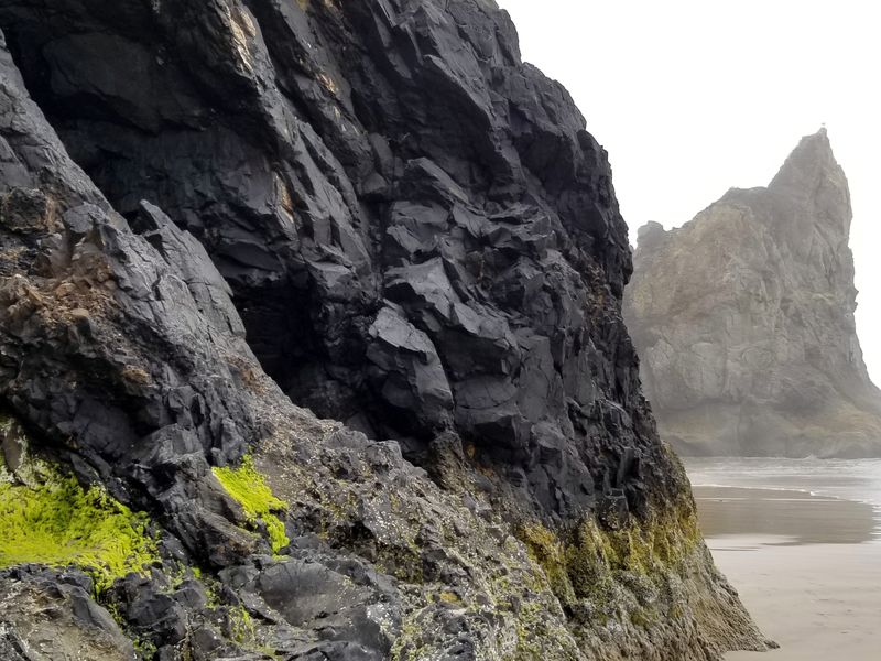 Basalt and Moss | Smithsonian Photo Contest | Smithsonian Magazine
