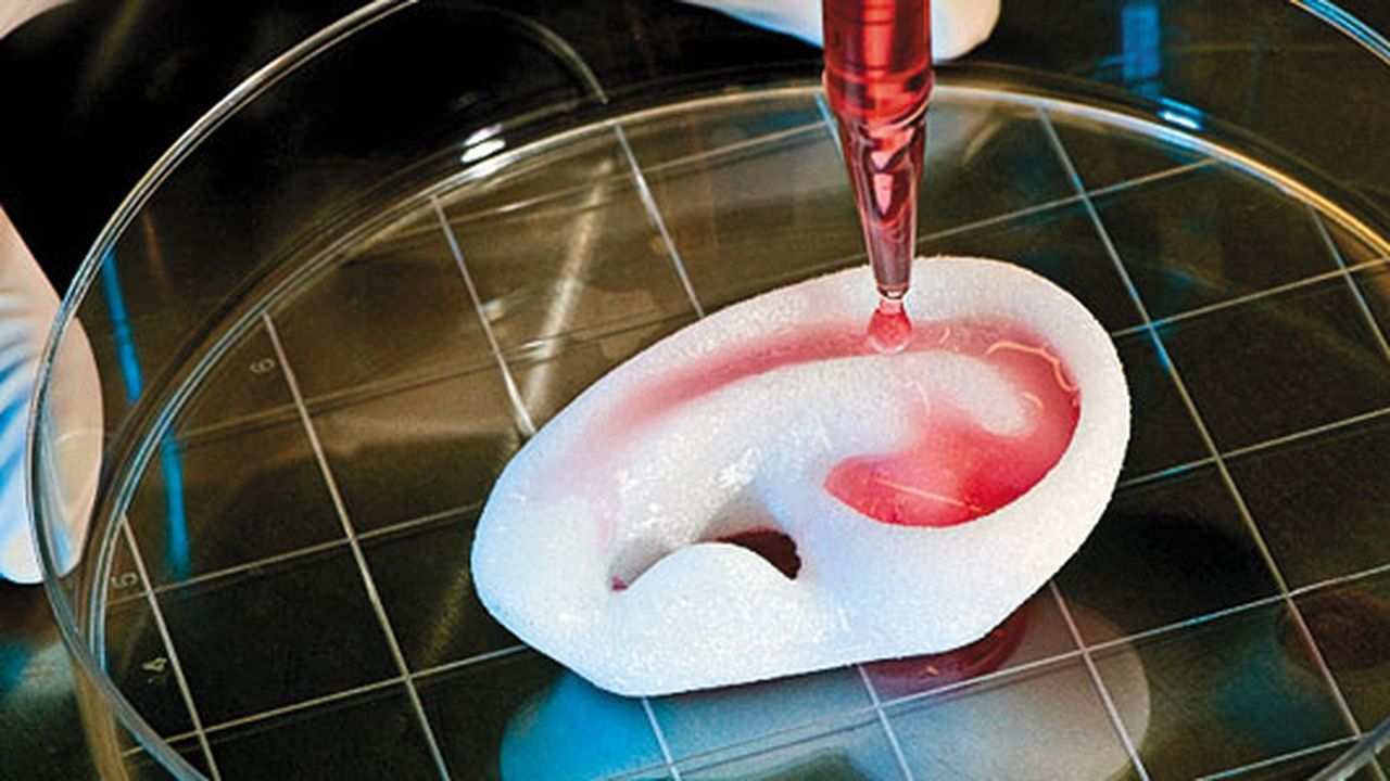 Lab Grown Organs 2024