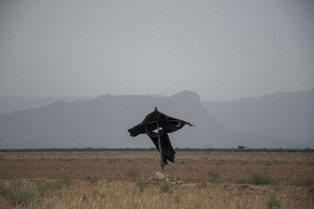 the black ghost hovering | Smithsonian Photo Contest | Smithsonian Magazine