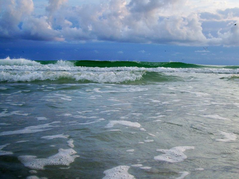 "Water is Life"..ride the wave. The waves roll in on the Gulf of Mexico ...