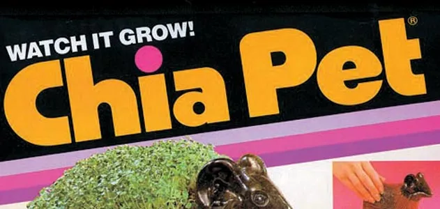 chia pet