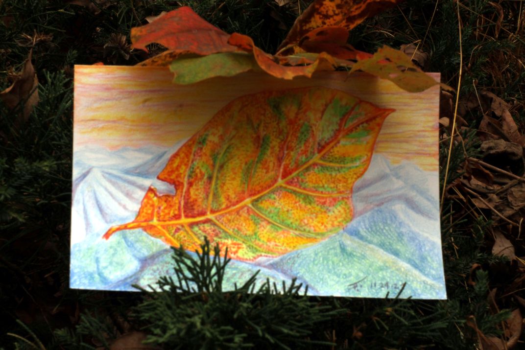 Sketching Autumn Against a Background of North Carolina | Smithsonian ...