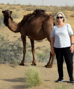 Kathy Parkison | Smithsonian Journeys Expert | Smithsonian Journeys