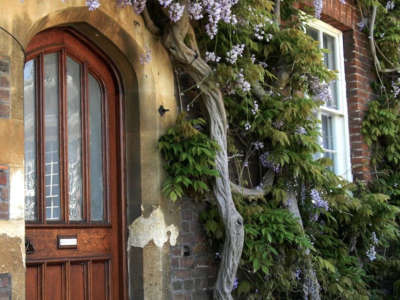 Hampton Court Palace, Great Vine Door | Smithsonian Photo Contest ...