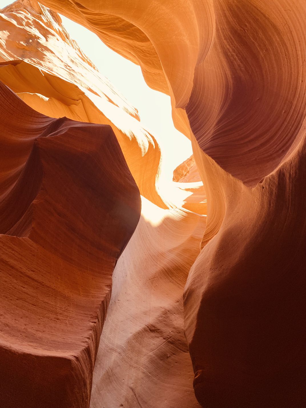 Phoenix Rising from Antelope Canyon | Smithsonian Photo Contest ...