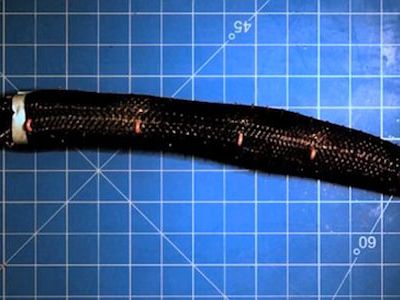 Science & Nature News and Features | Smithsonian Magazine