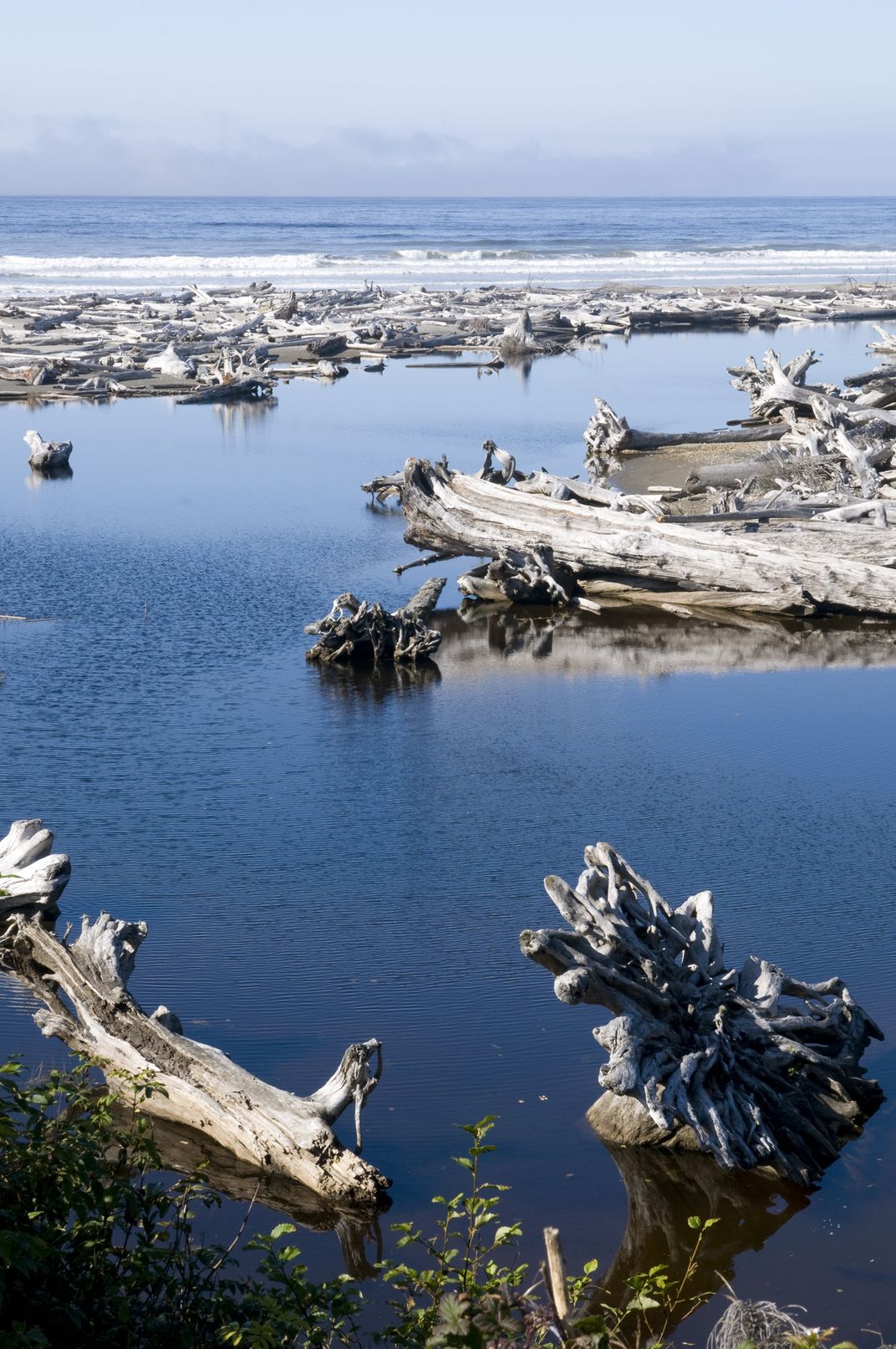Olympic National Park, Washington -- where the forest meets the ocean ...
