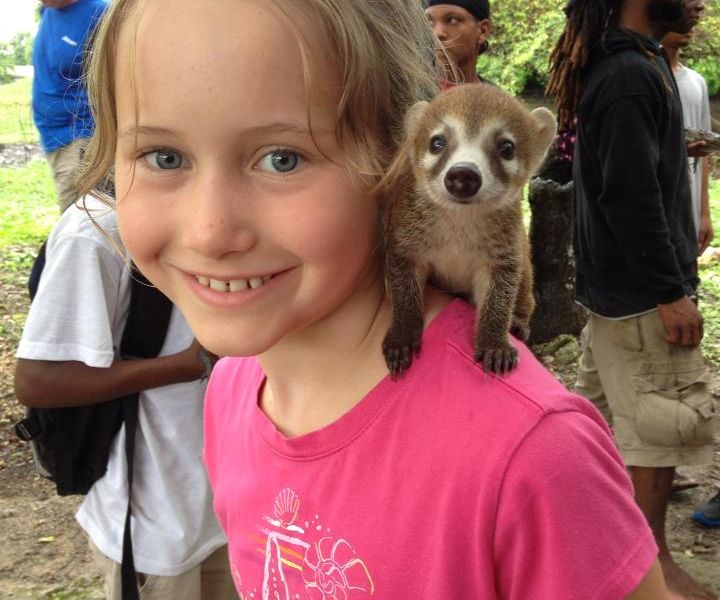 Addy and a baby Coatimundi in Belize! | Smithsonian Photo Contest ...
