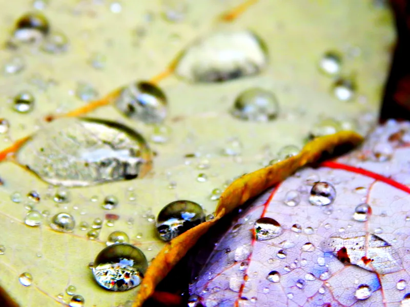 Natural Contrast | Smithsonian Photo Contest | Smithsonian Magazine