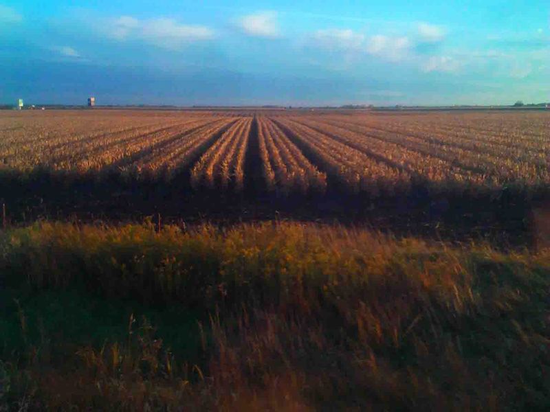 Plains, Illinois | Smithsonian Photo Contest | Smithsonian Magazine