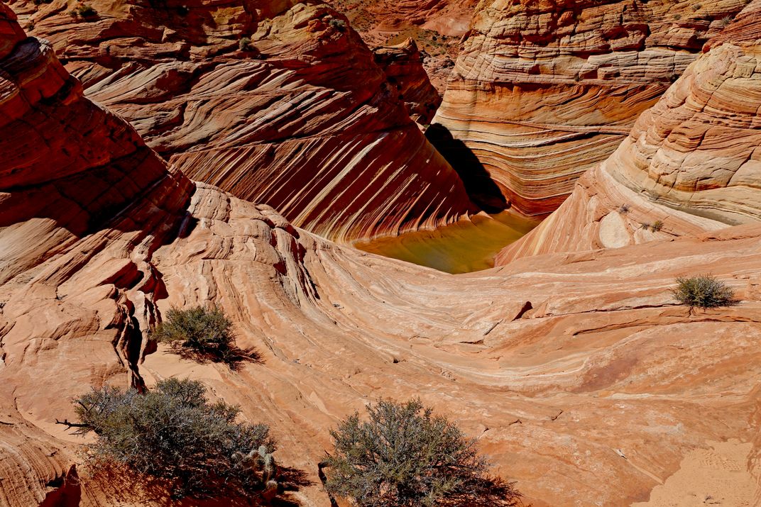 Wave | Smithsonian Photo Contest | Smithsonian Magazine