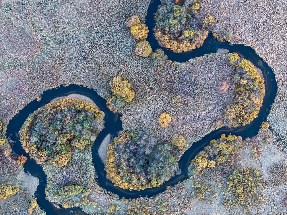 Autumn scenery of wetland | Smithsonian Photo Contest | Smithsonian ...