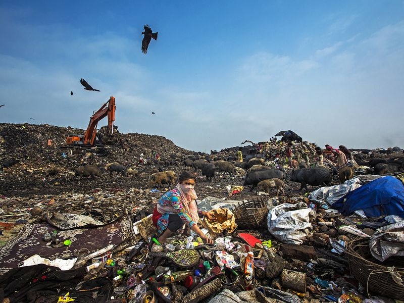 A day In a Dump yard | Smithsonian Photo Contest | Smithsonian Magazine