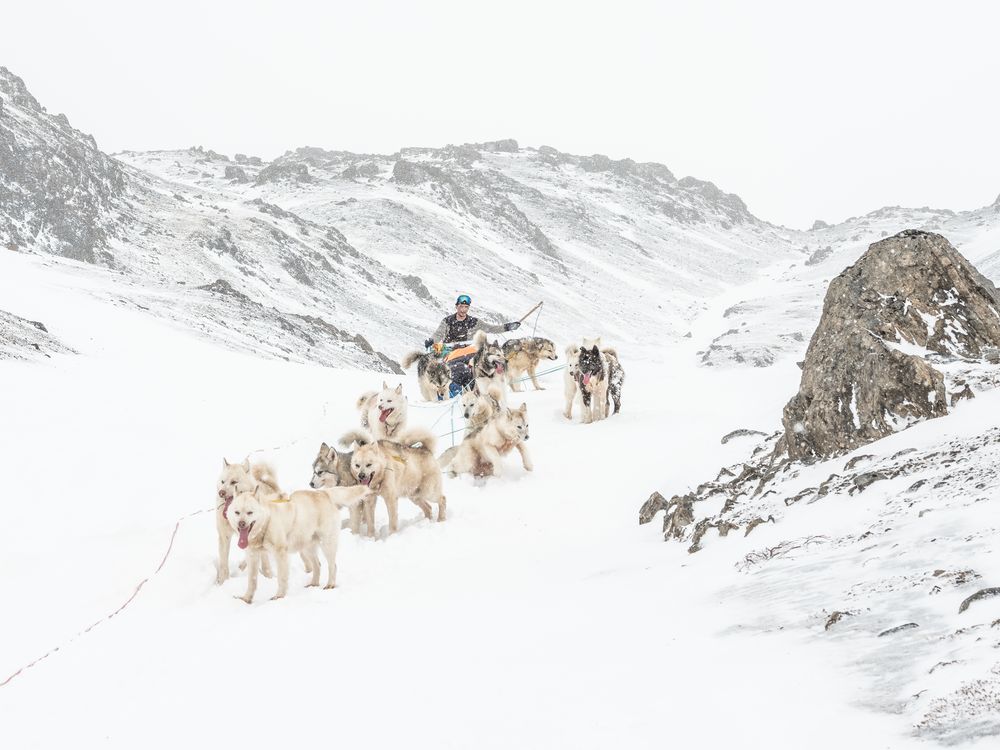 Arctic express | Smithsonian Photo Contest | Smithsonian Magazine