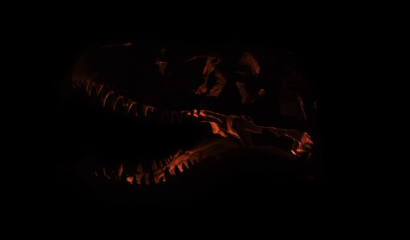 National Museum of Natural History Blog | Smithsonian Magazine