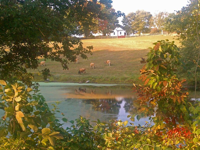A local farm in New England | Smithsonian Photo Contest | Smithsonian ...
