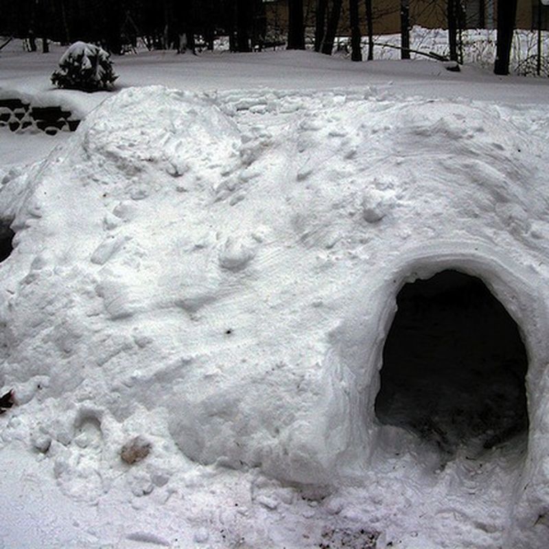 Cool Snow Forts