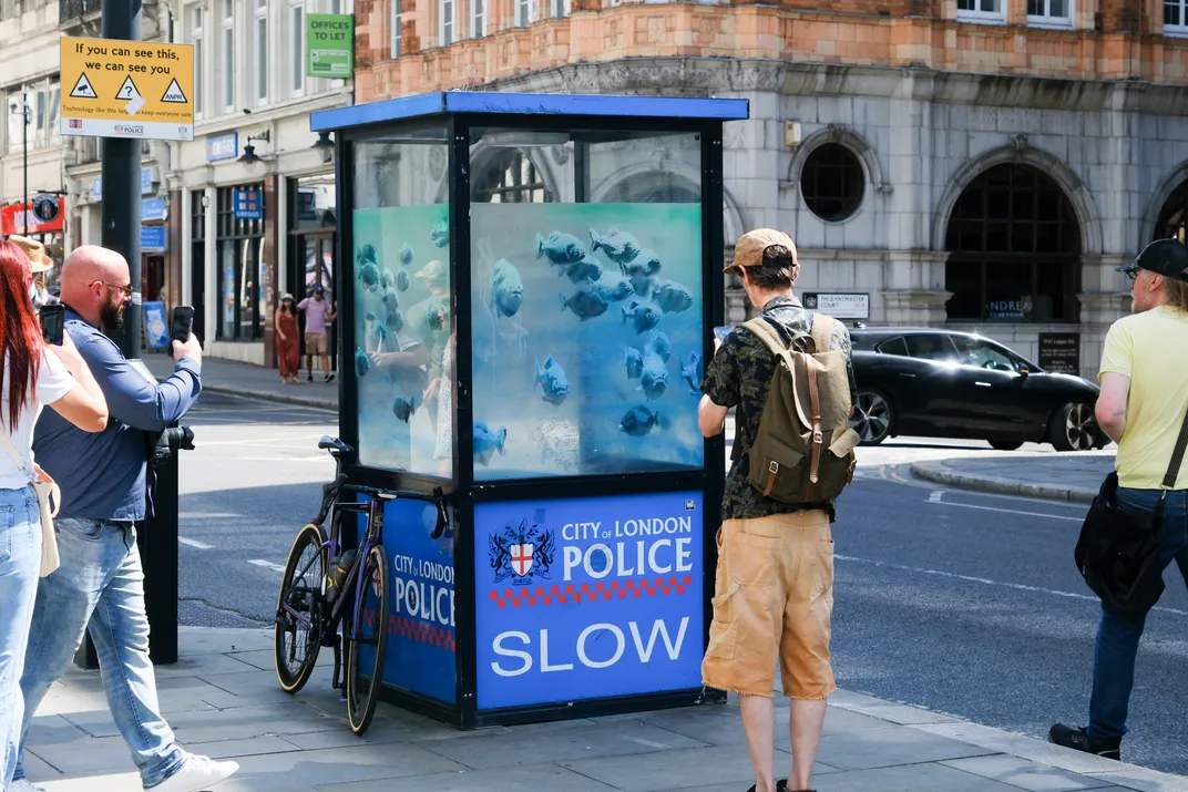 Banksy Transformed This Police Box Into a Piranha Tank. Soon, the ...