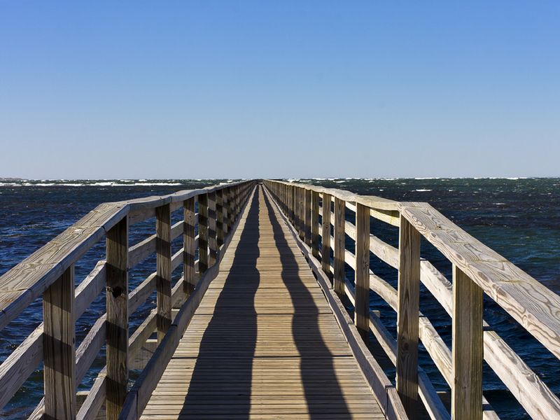 Boardwalk at Gray's Beach, Cape Cod. | Smithsonian Photo Contest ...