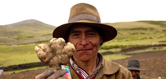 Inca People Inca Civilization World History Encyclopedia