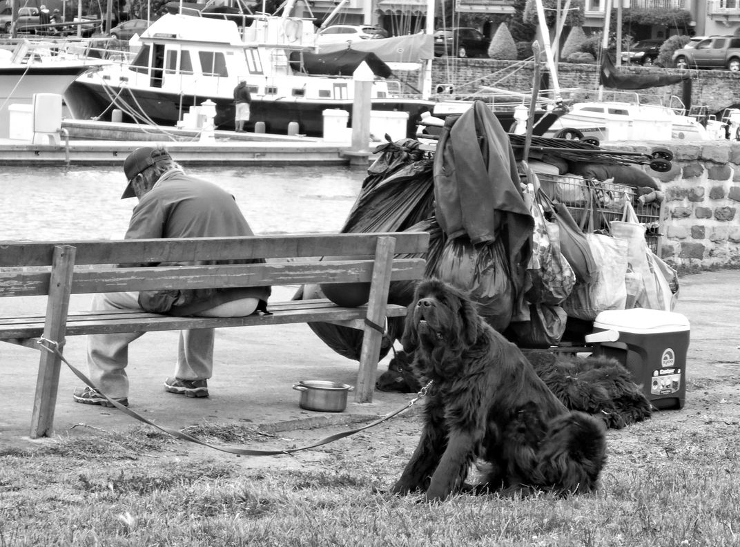 Homeless man with dog | Smithsonian Photo Contest | Smithsonian Magazine
