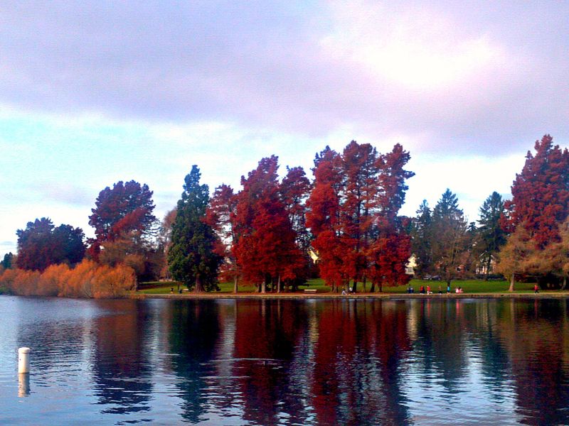 A walk through Greenlake park on a typical gloomy Seattle day ...