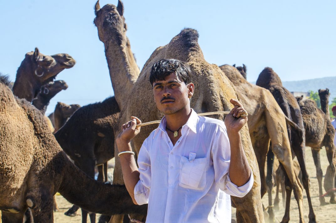 Camel's Leader | Smithsonian Photo Contest | Smithsonian Magazine