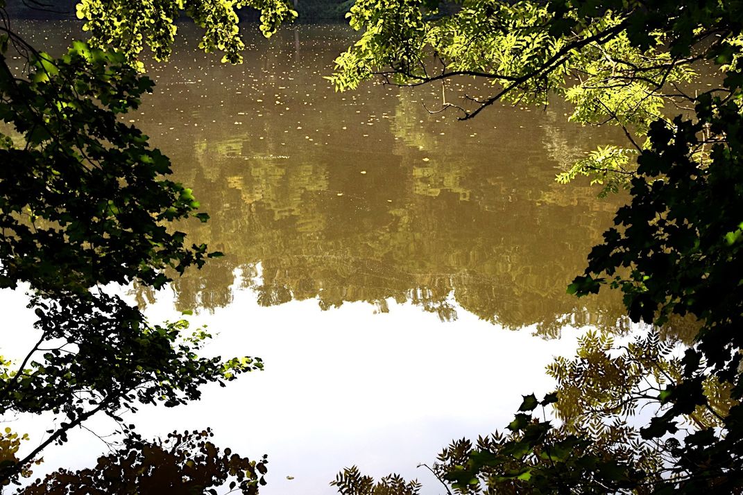 Mirroring in water VIII | Smithsonian Photo Contest | Smithsonian Magazine