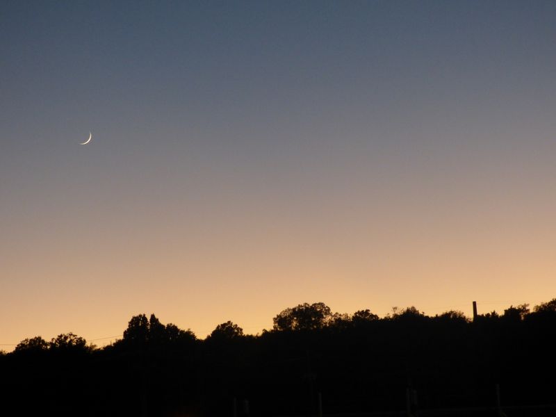 Crescent Moon Sunset | Smithsonian Photo Contest | Smithsonian Magazine