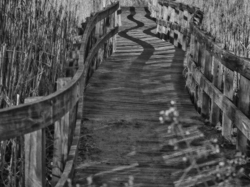 Crooked Path | Smithsonian Photo Contest | Smithsonian Magazine