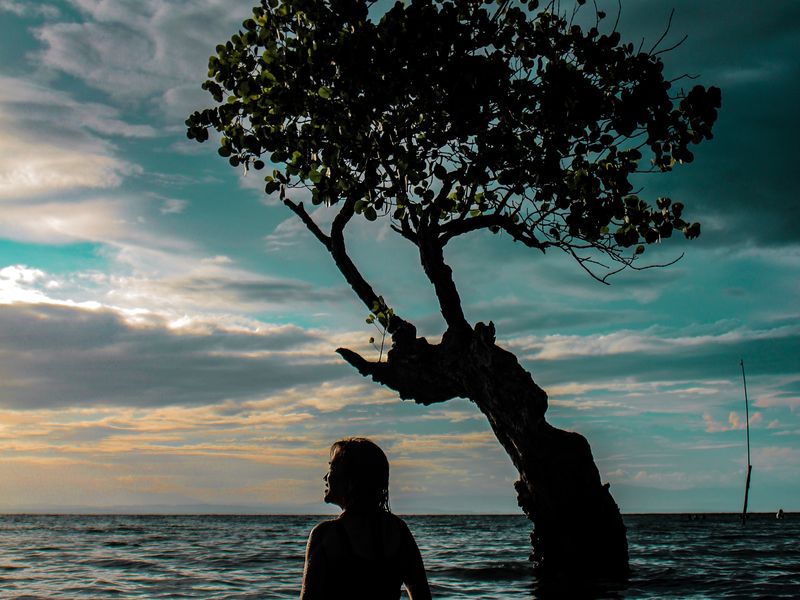 The Last Tree Standing | Smithsonian Photo Contest | Smithsonian Magazine